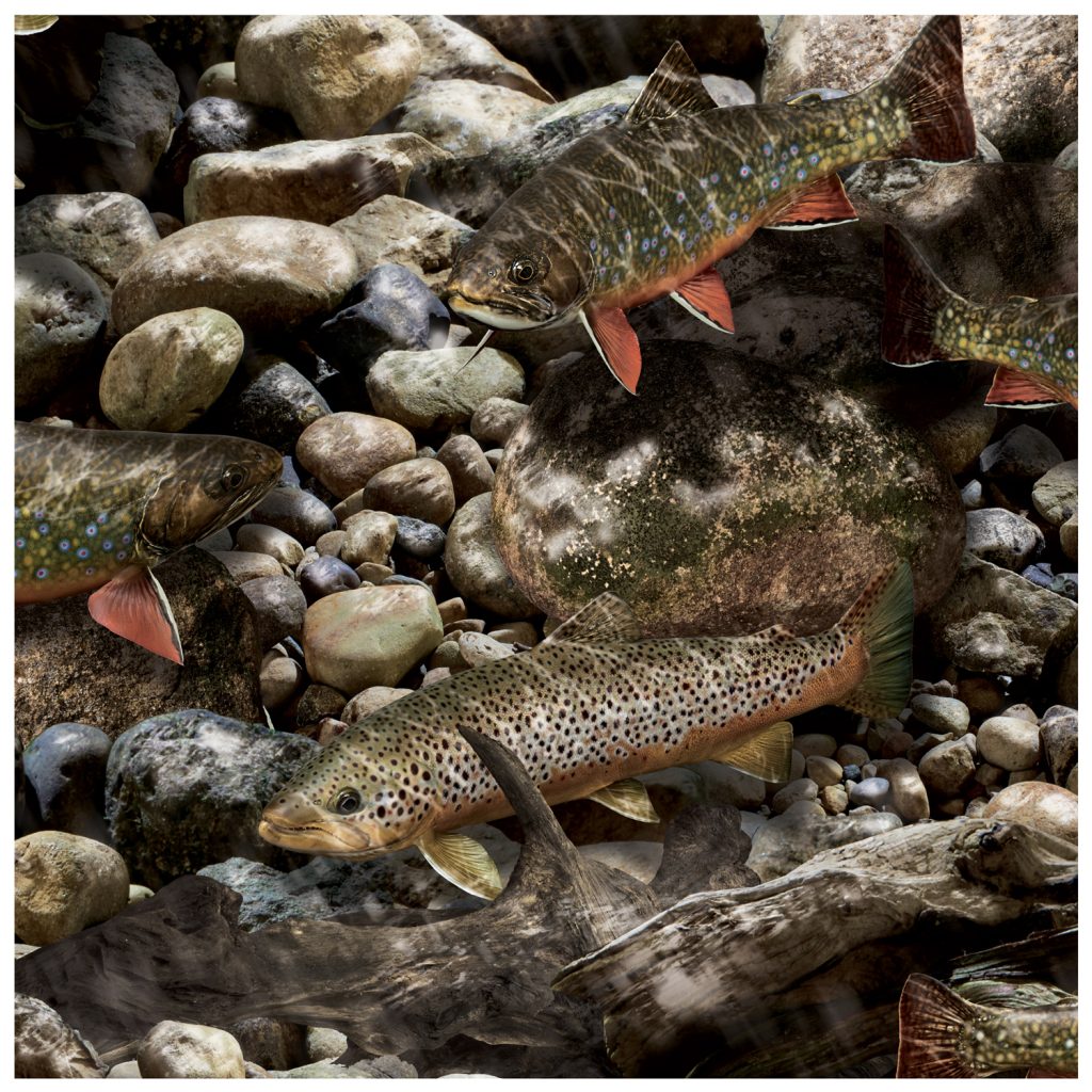 Trout Strike Performance Hoodie | Fishouflage